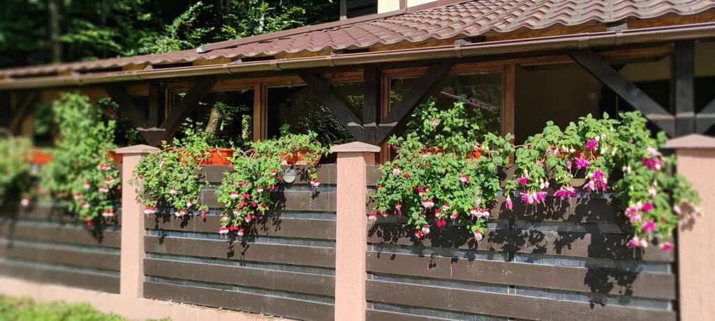 Casa Alpin - Slănic Moldova - Ghidul HoReCa